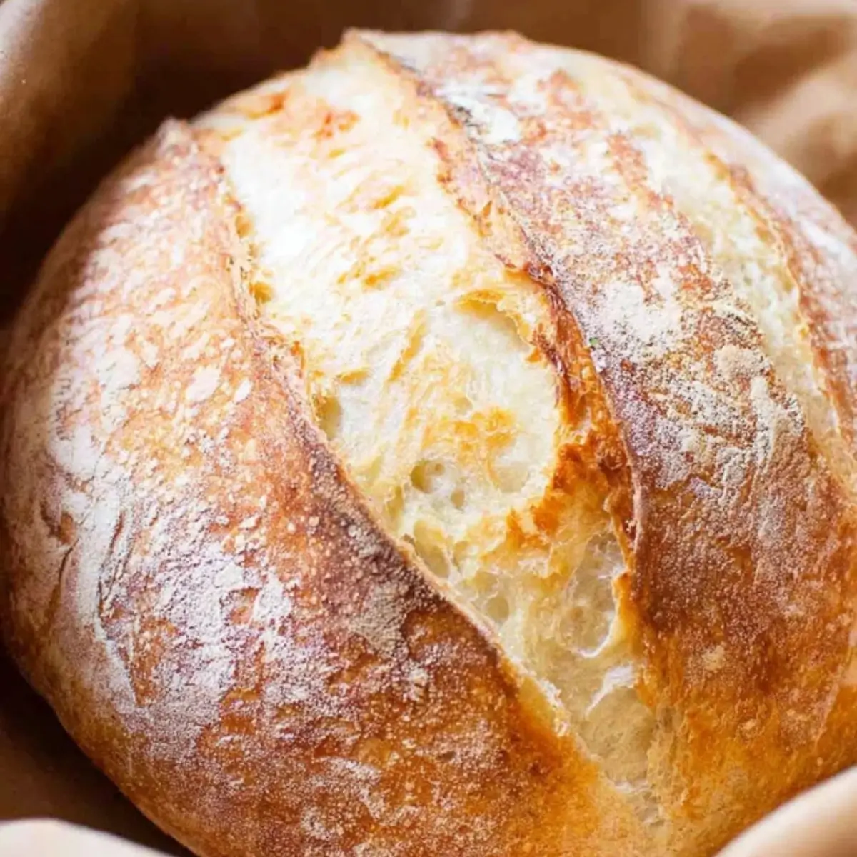 Easiest Ever No Knead Sourdough Bread Recipe - Mucha Munch