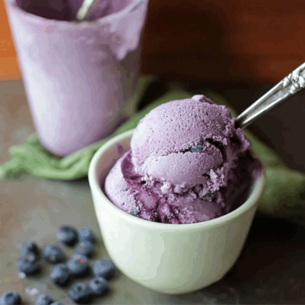 Homemade Blueberry Ice Cream: A Sweet and Creamy Summer Treat - Mucha Munch