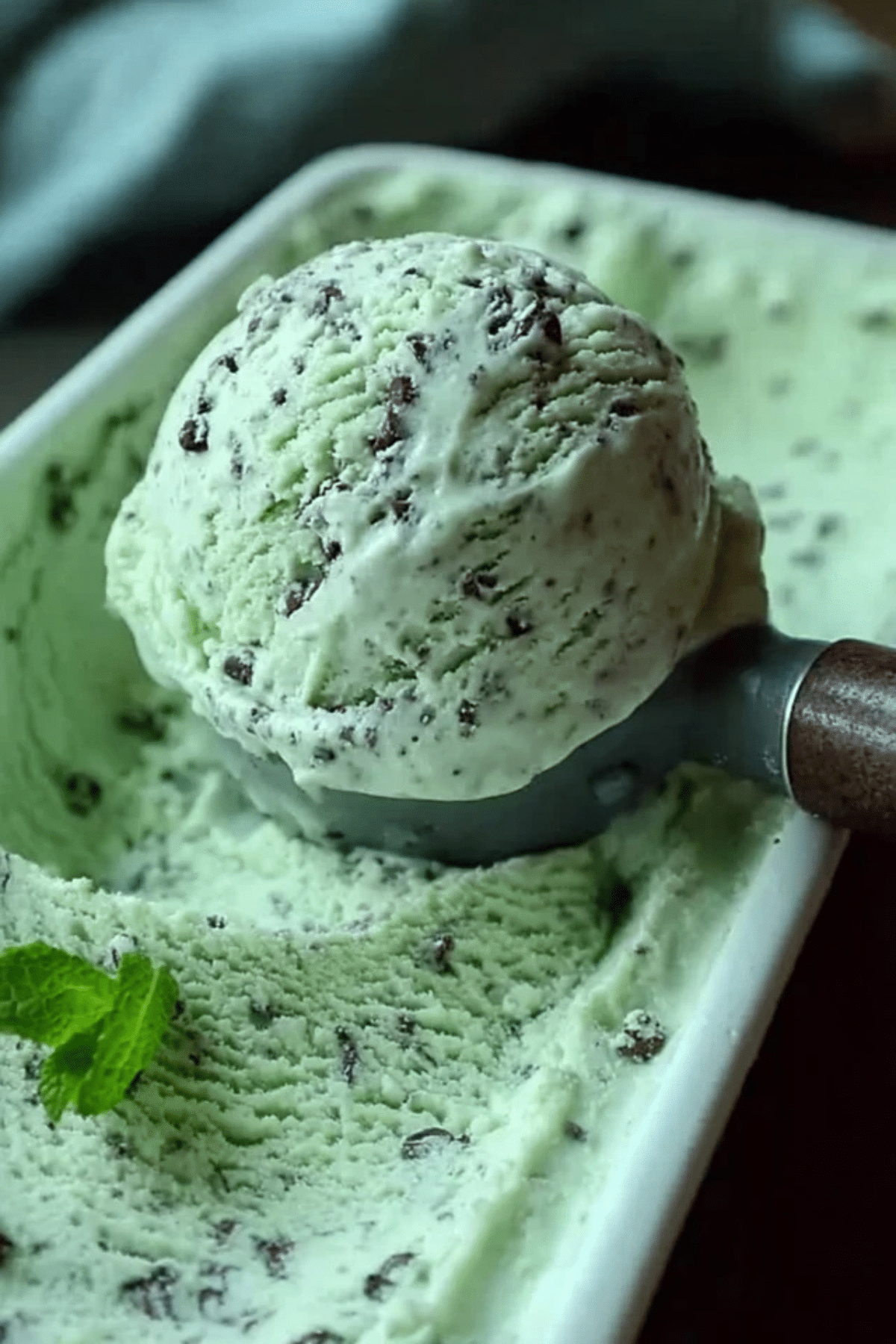 super Mint Chocolate Chip Ice Cream Recipe - Mucha Munch