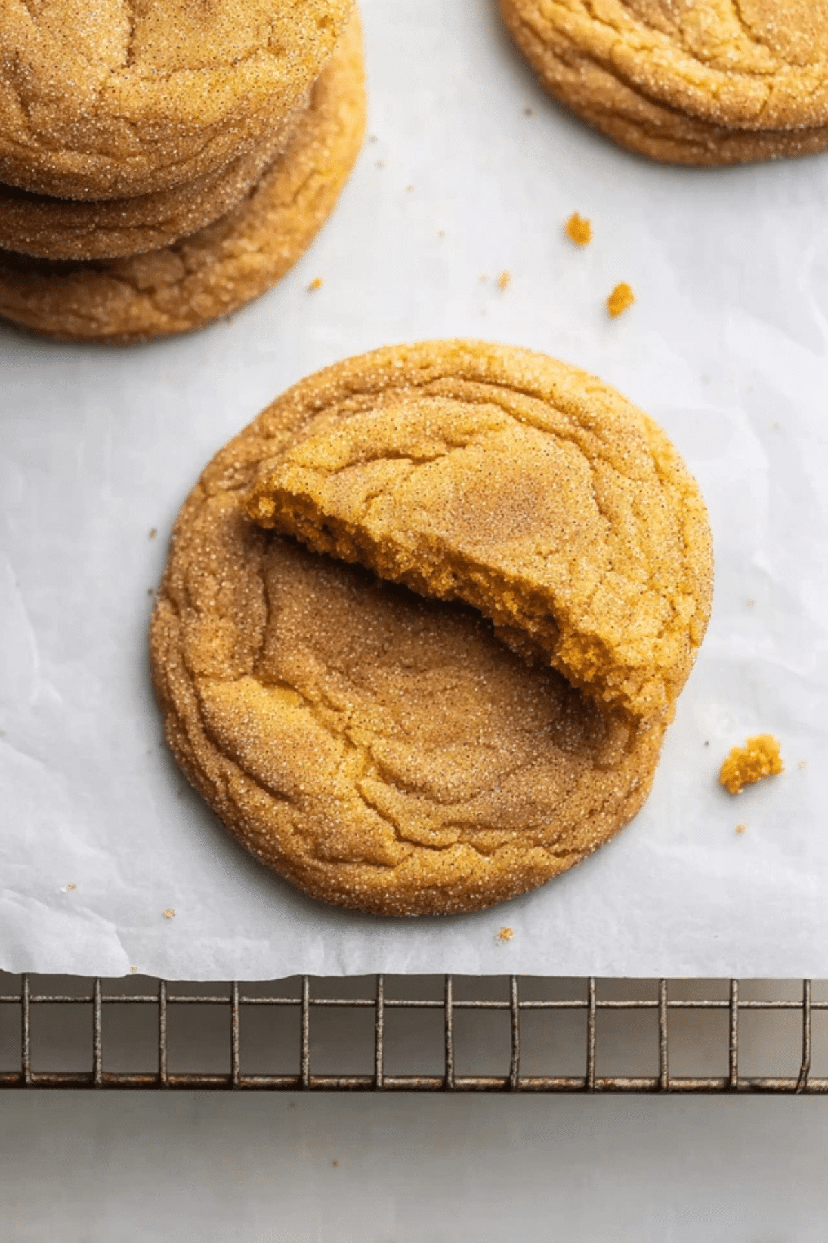 Chewy Pumpkin Snickerdoodles Recipe - Mucha Munch