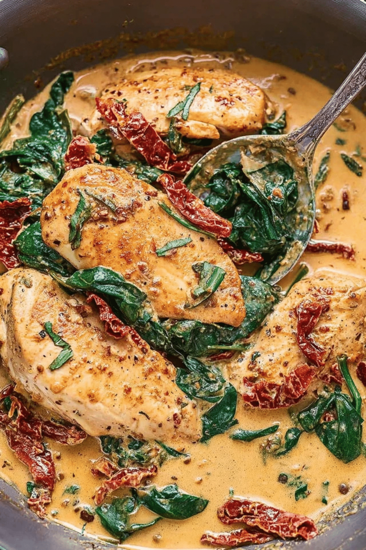 Creamy Sun Dried Tomato Chicken: A Perfect Weeknight Dinner - Mucha Munch